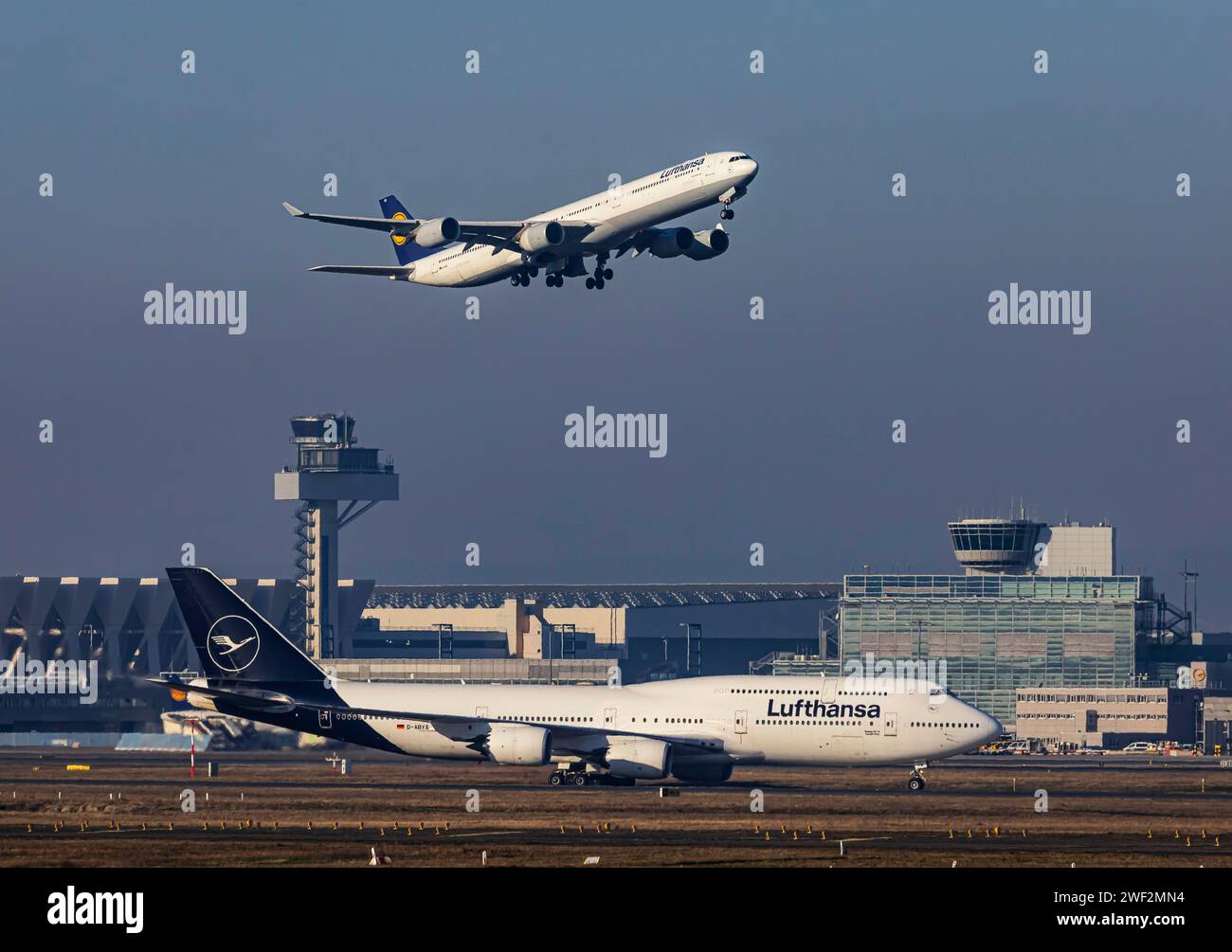 Aircraft taking off at Frankfurt Airport, Fraport Airport with tower. D-AIHX, LUFTHANSA, AIRBUS ...