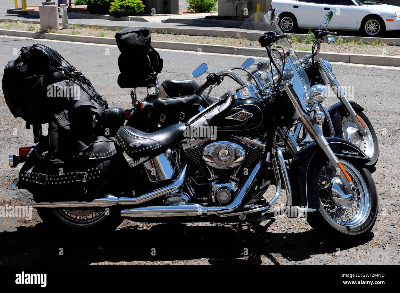 Motorbikes, Chopper, Grand Canyon National Park, Colorado Plateaus ...