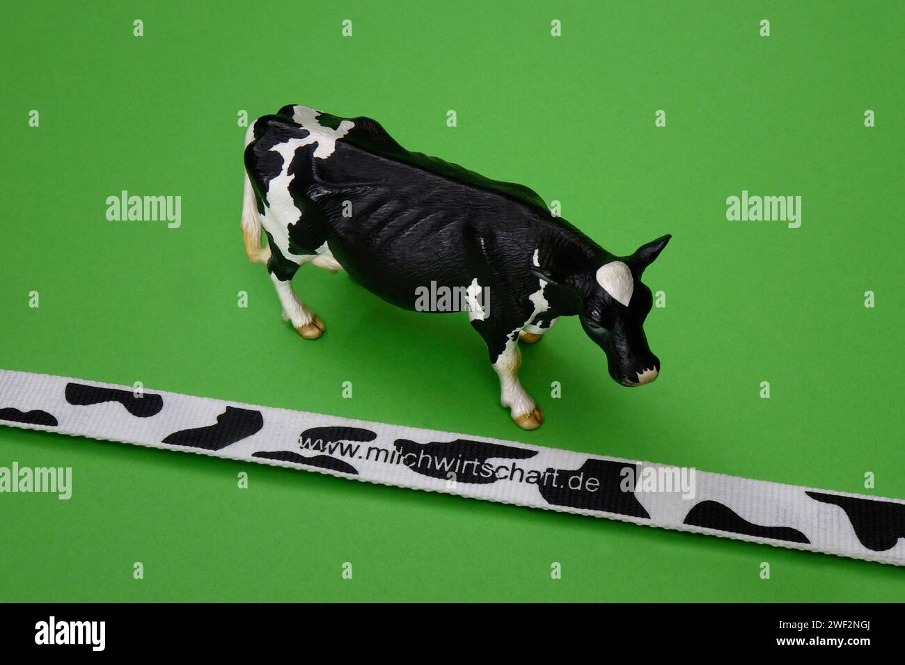 Kuhmodell und Milchwirtschaft Kuhmodell und Milchwirtschaft, 24.03.2023 ...