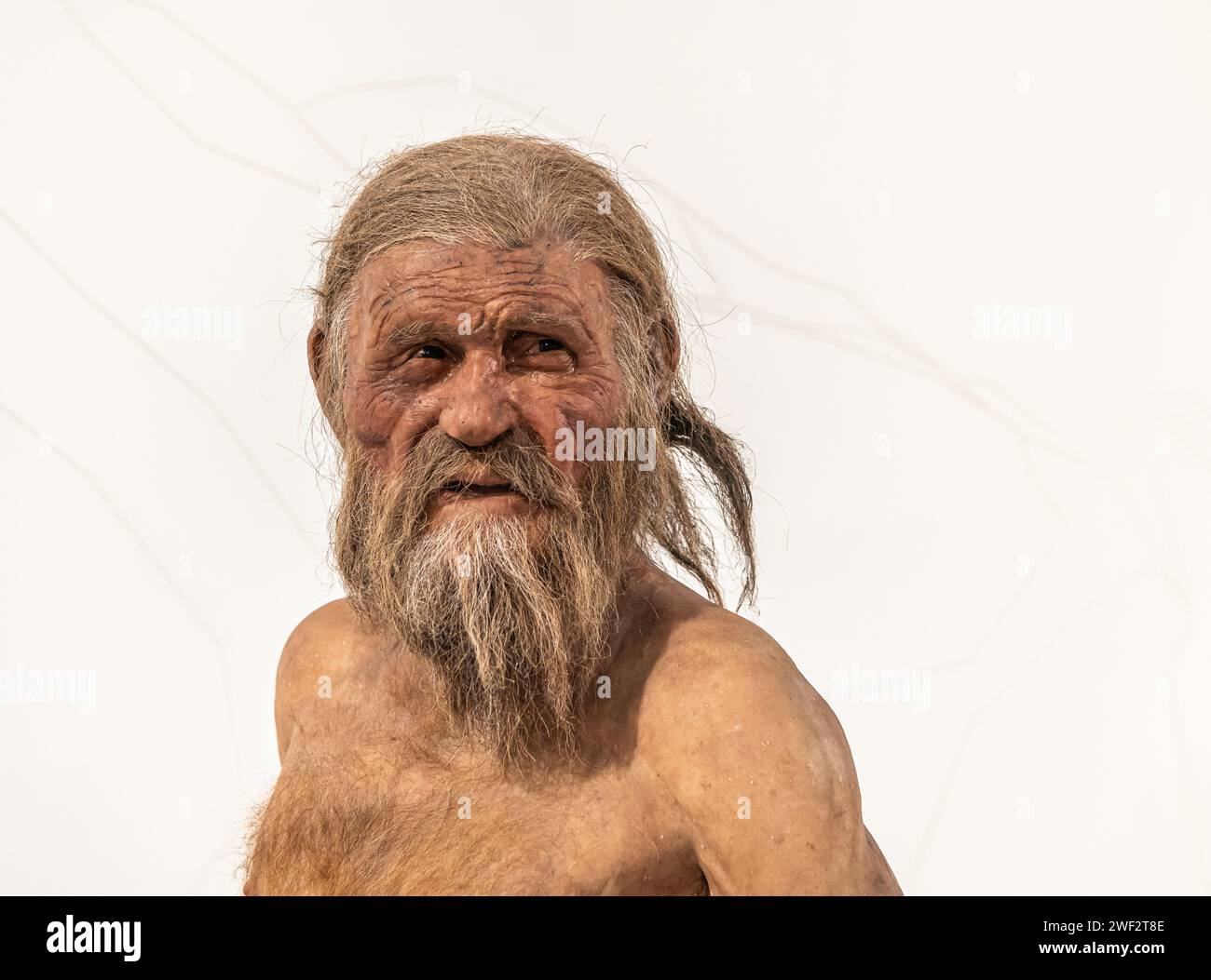 Neolithic reconstruction hi-res stock photography and images - Alamy