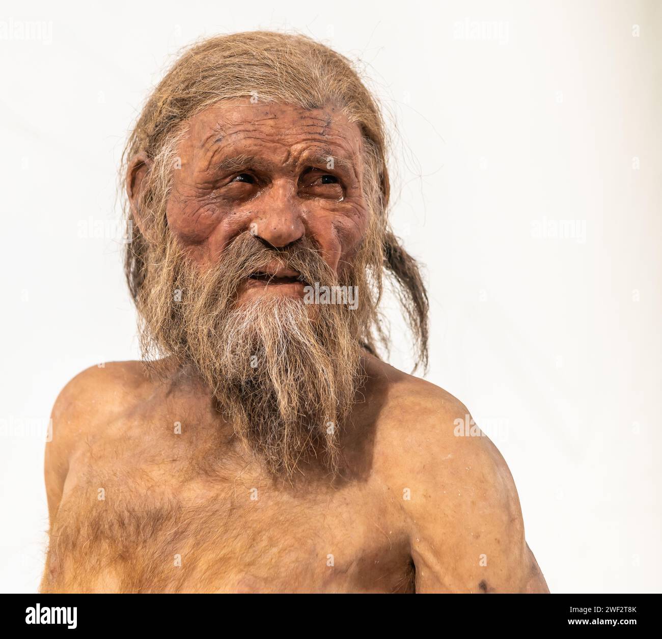 Senales valley glacier hi-res stock photography and images - Alamy