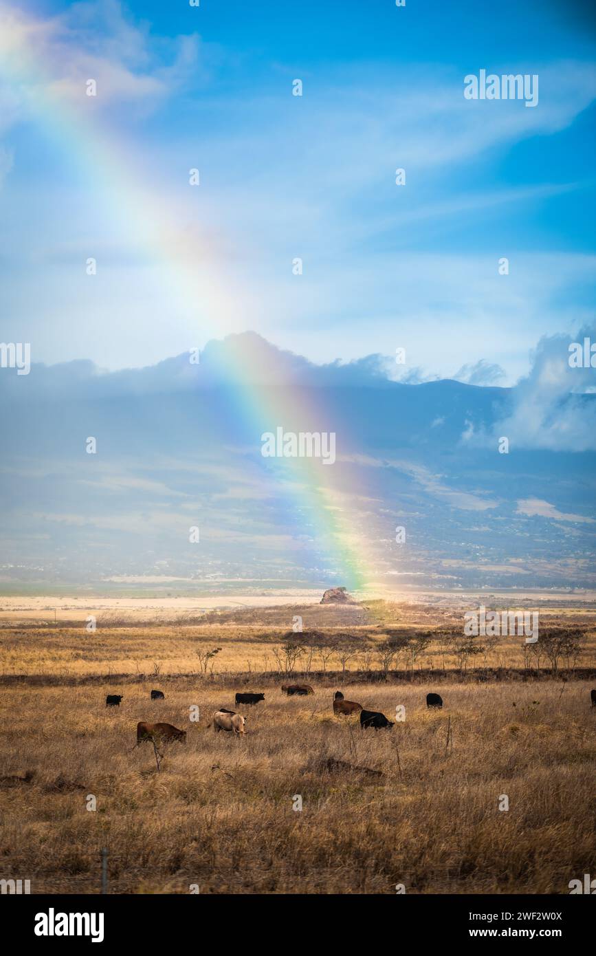 Hawaii, Maui, Rainbow Stock Photo - Alamy