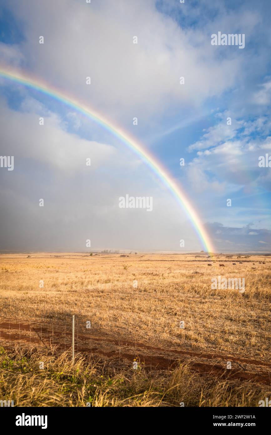 Hawaii, Maui, Rainbow Stock Photo - Alamy