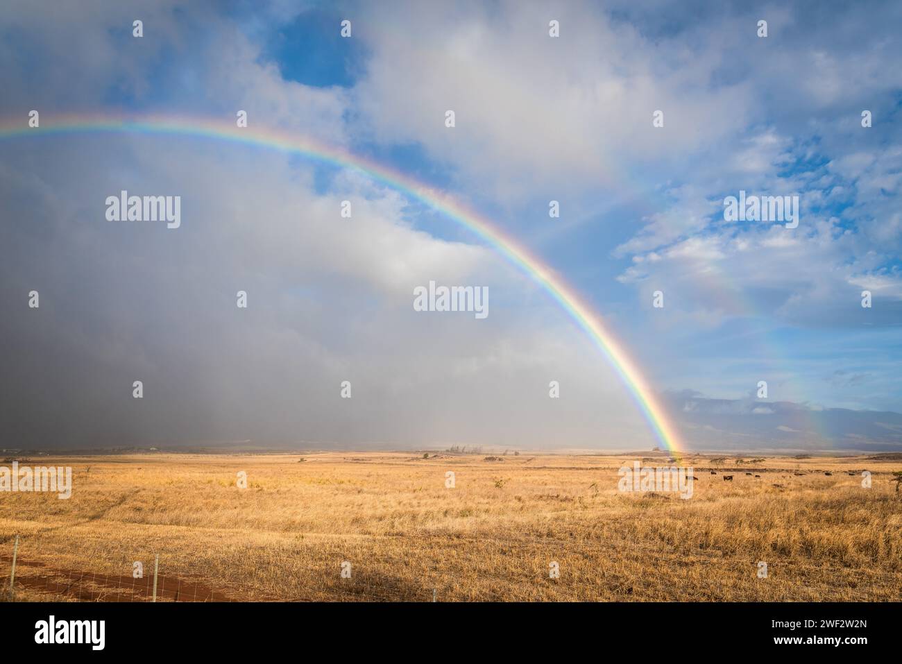 Hawaii, Maui, Rainbow Stock Photo - Alamy