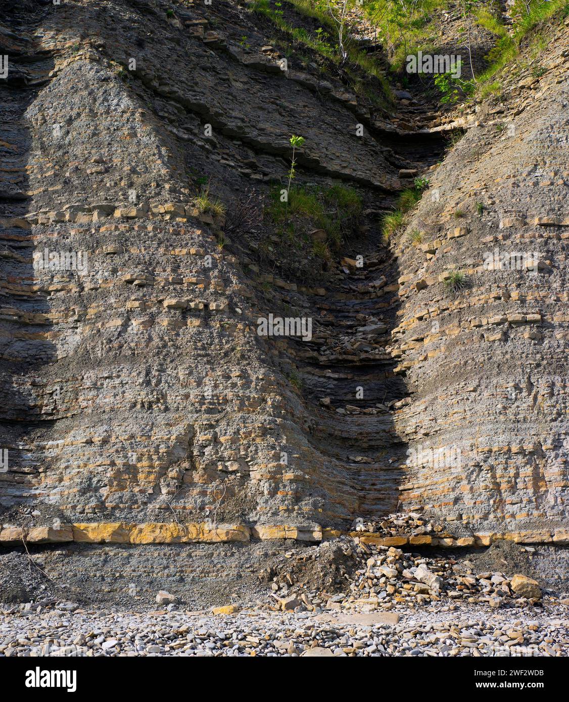 Years of layers hi-res stock photography and images - Alamy