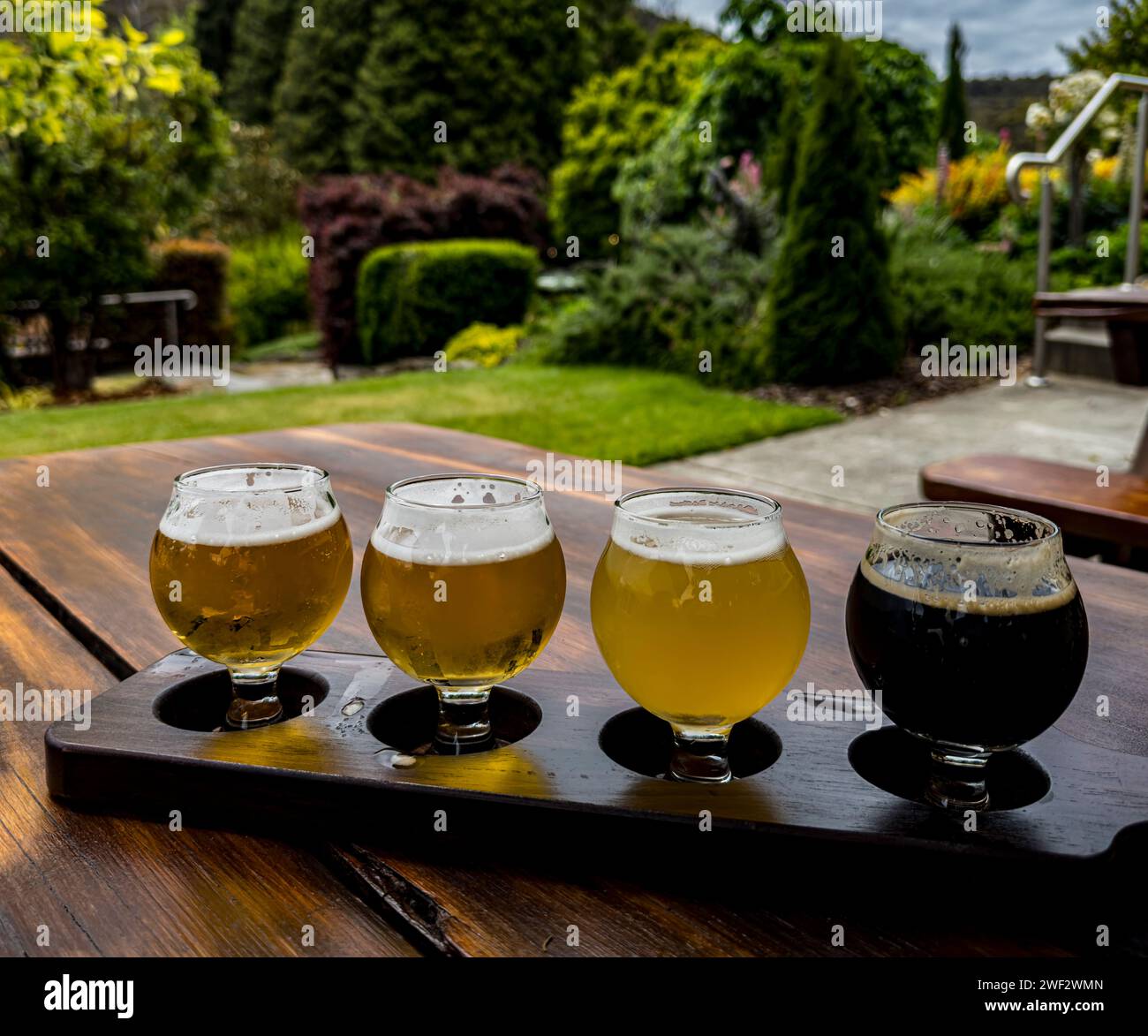 Golden beer samples in glass hi-res stock photography and images - Alamy