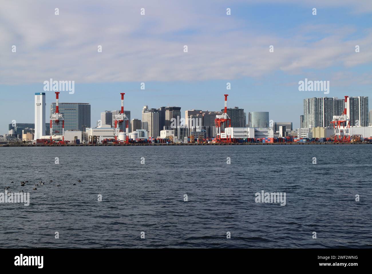 Gantry cranes at Oi Container Terminal in Tokyo, Japan Stock Photo - Alamy