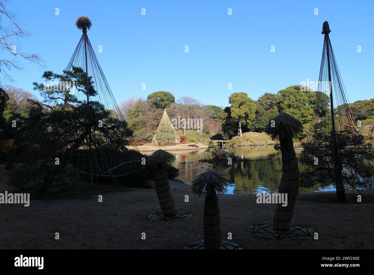 Daisensui Pond and Yukitsuri (snow hanging) in Rikugien Garden, Tokyo ...