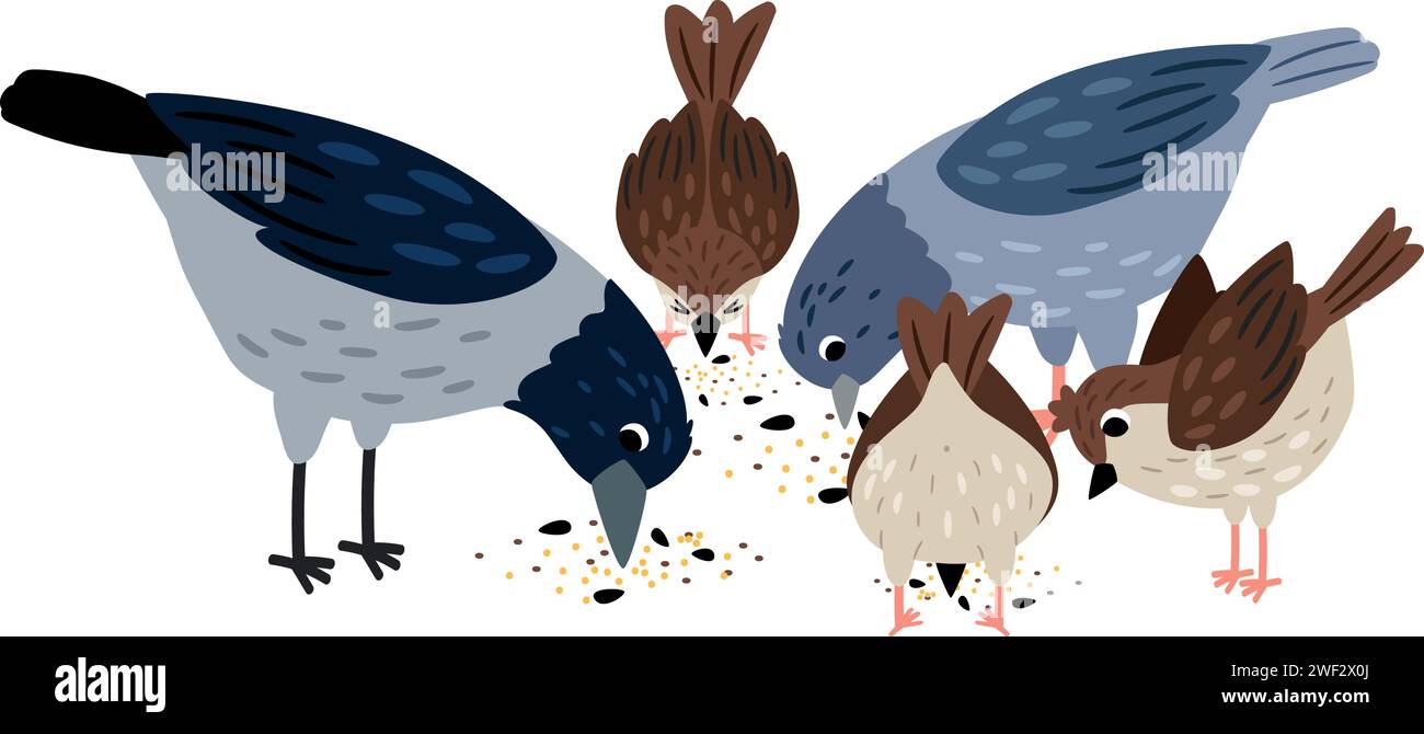 Crow, pigeon, sparrow eat seeds. Collection of cute birds on white ...