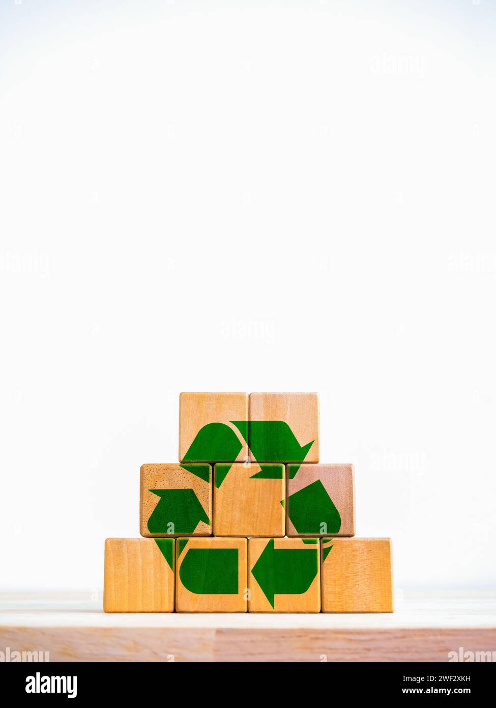 Recycle for save the earth, global warming, environment care, reduce, reuse concepts. Green ...