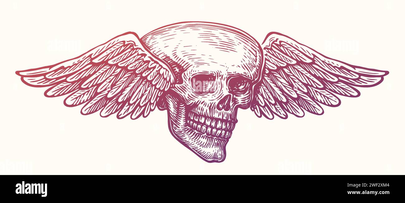 Hand drawn human skull with wings. Winged skeleton sketch. Vintage ...