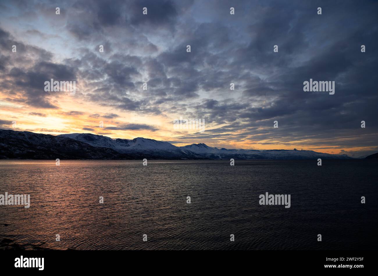 Fjord near Narvik during the polar night, Norway Stock Photo - Alamy
