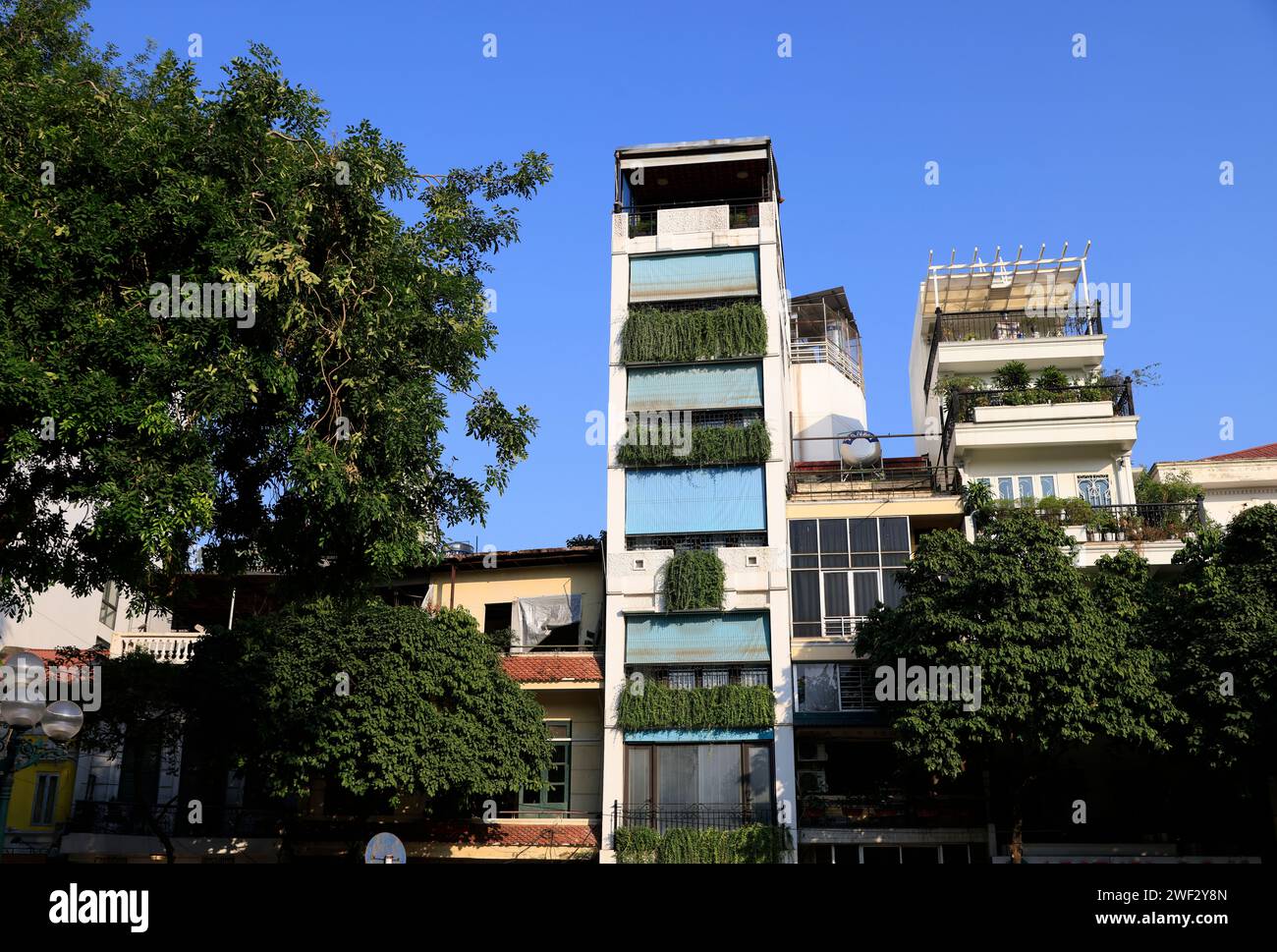 Characteristic buildings in the city of Hanoi, Vietnam Stock Photo - Alamy