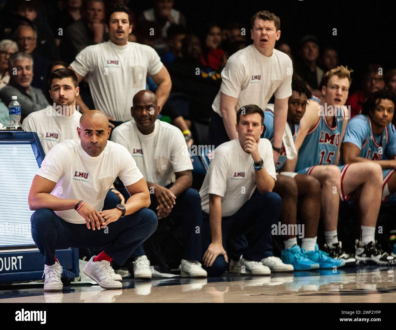 2024 0536 jpg hi-res stock photography and images - Alamy