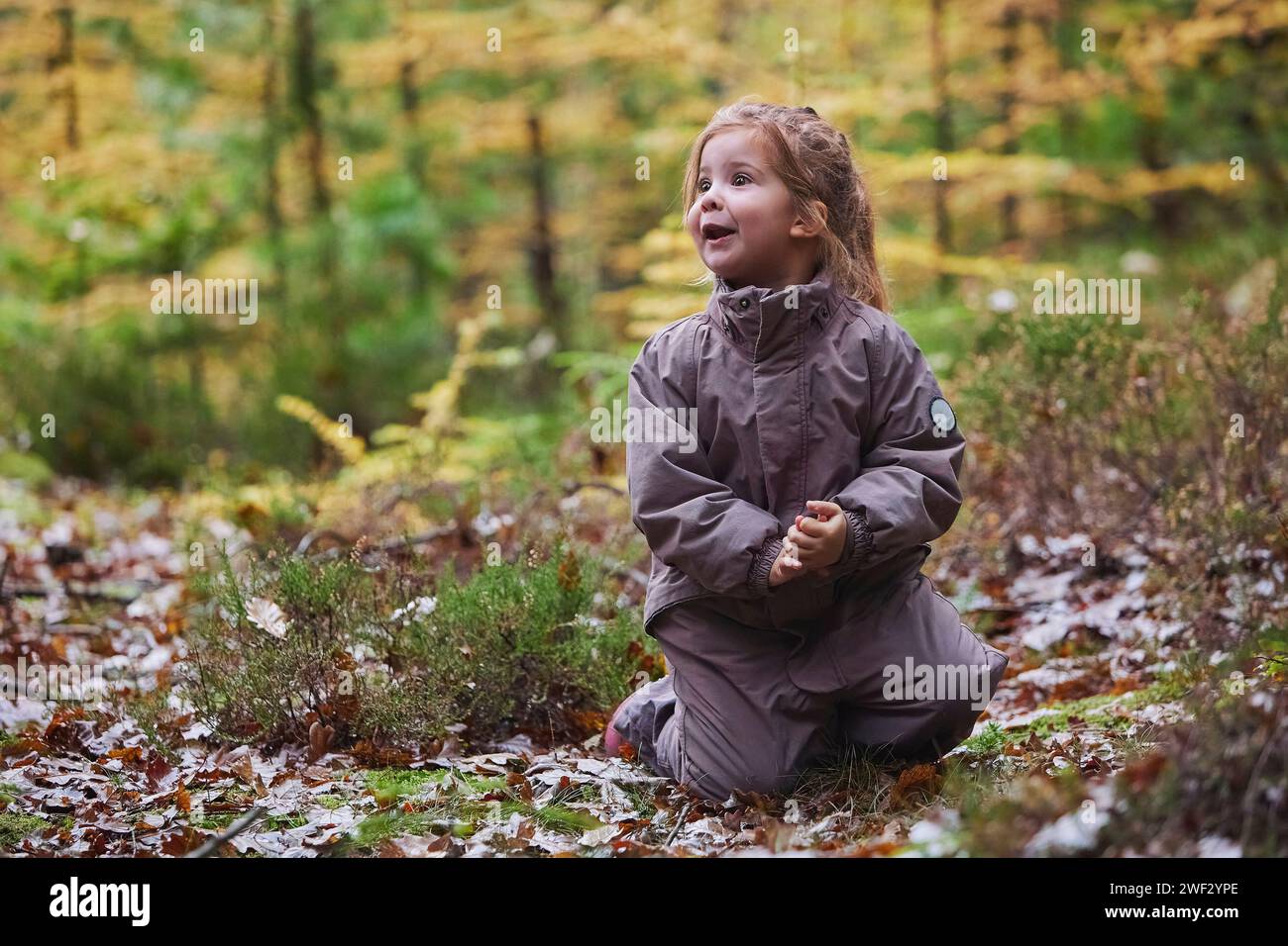 Beautiful child in the forest in Denmark Stock Photo - Alamy
