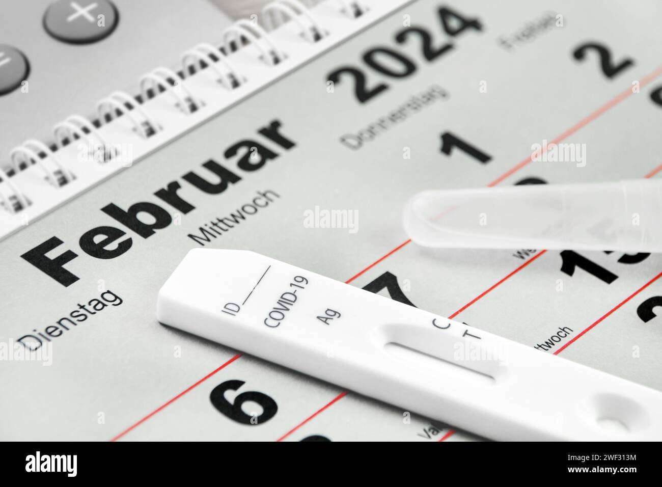 German calendar 2024 February and Corona Rapid Antigen Test Tuesday ...