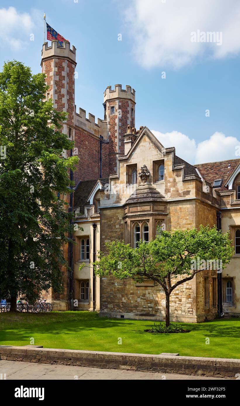 Newton's Apple Tree which grows outside the main entrance to Trinity ...