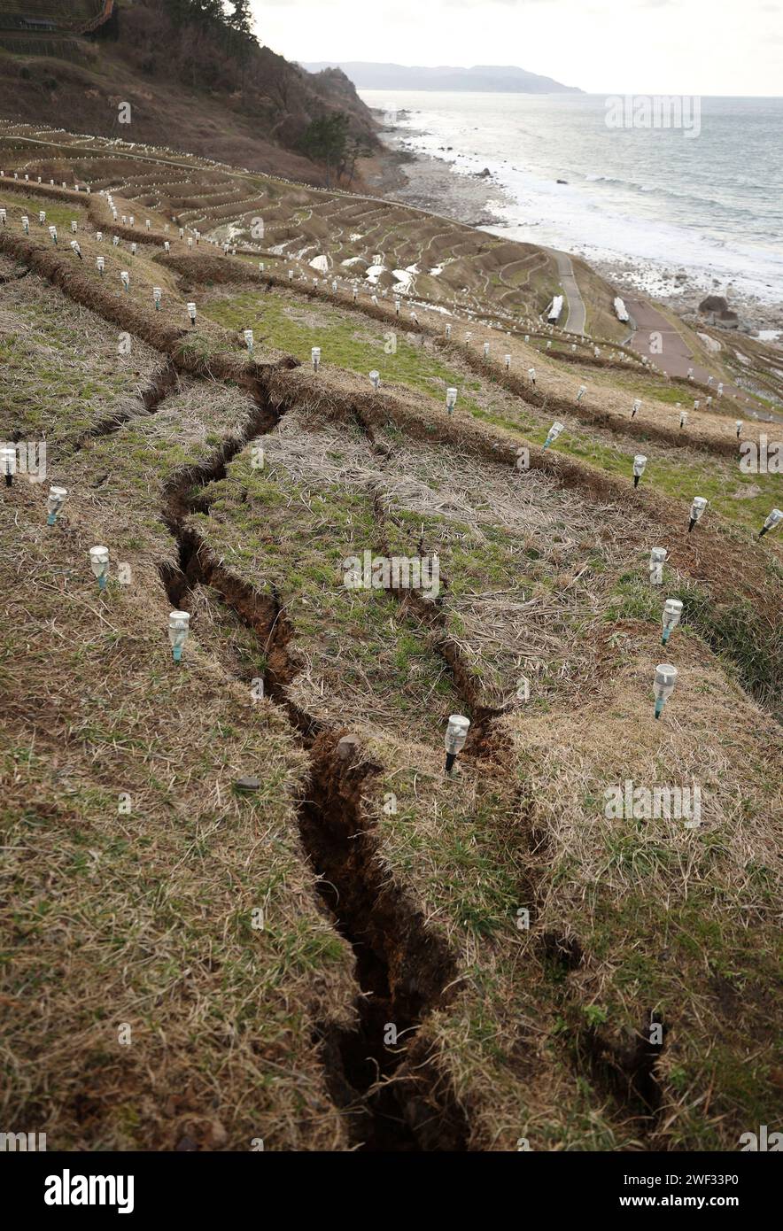 A photo shows terraced rice field damaged by a massive earthquake in ...