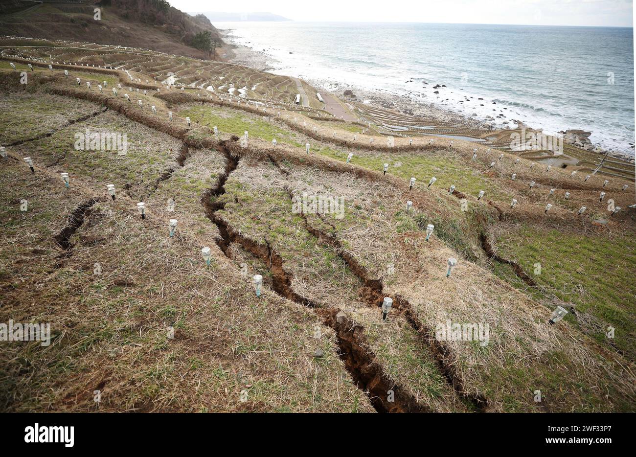 A photo shows terraced rice field damaged by a massive earthquake in ...