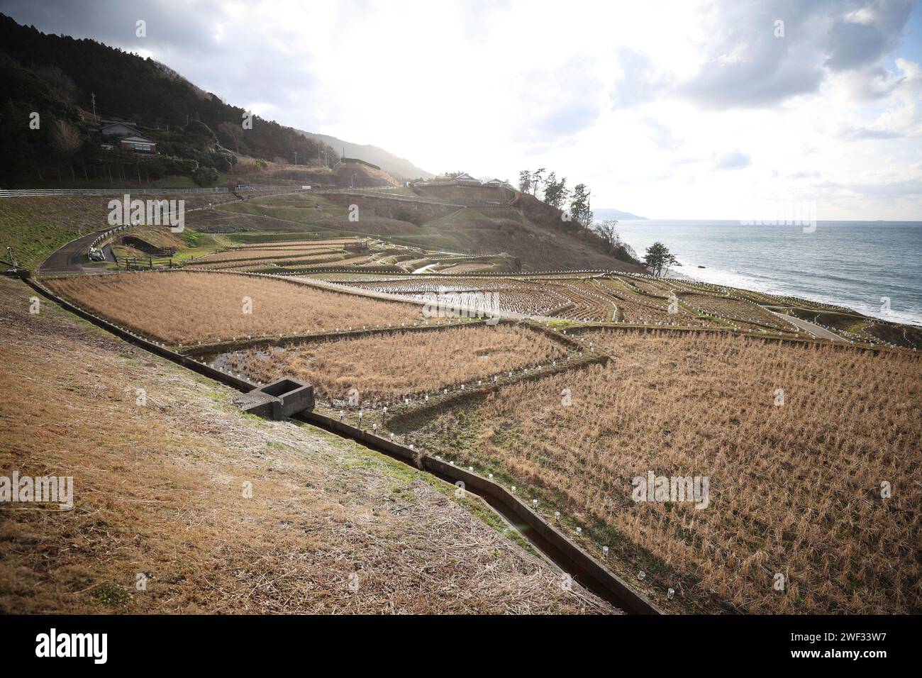A photo shows terraced rice field damaged by a massive earthquake in ...