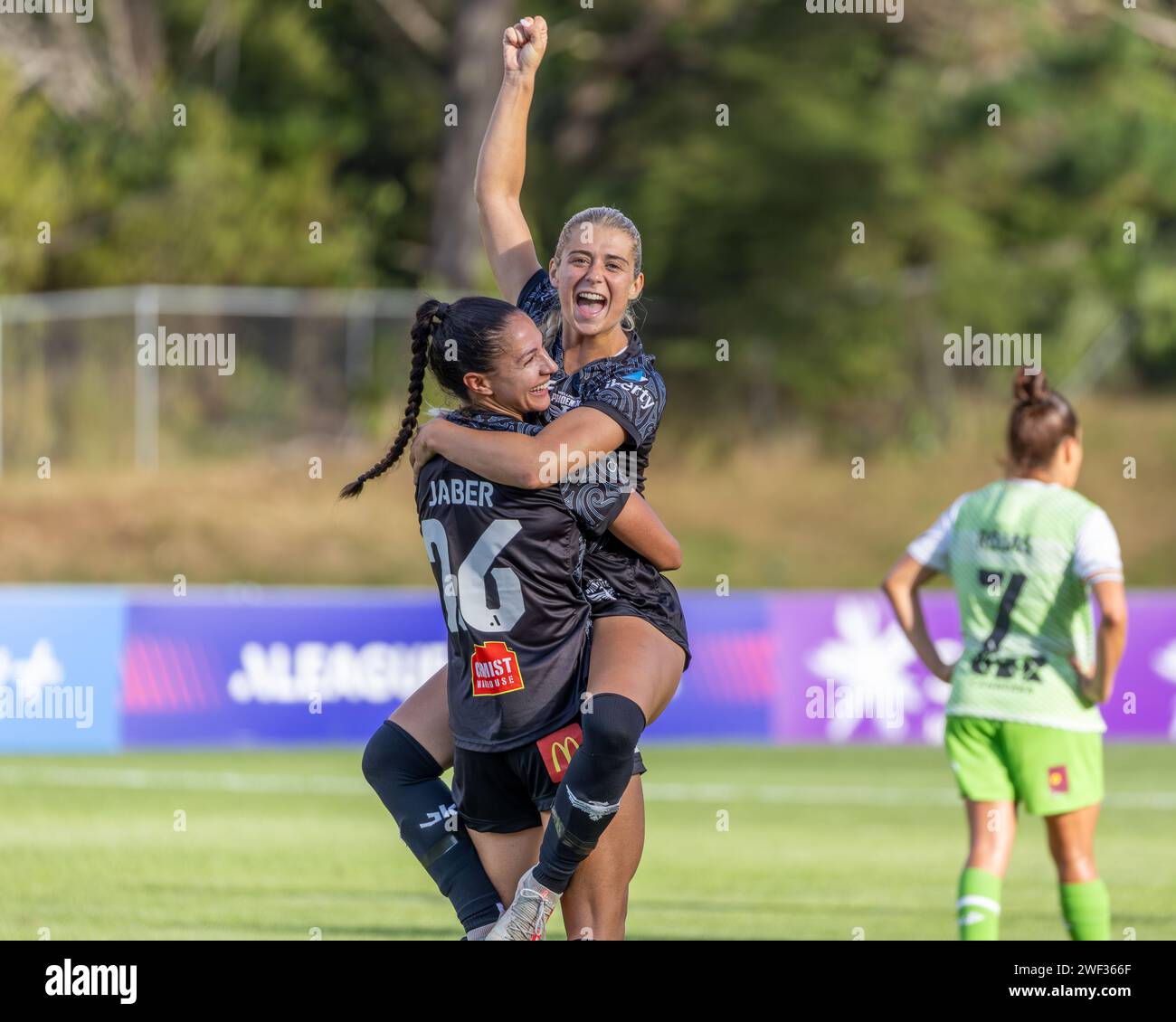 January 28, 2024, Wellington, New Zealand: Porirua, Wellington, New ...