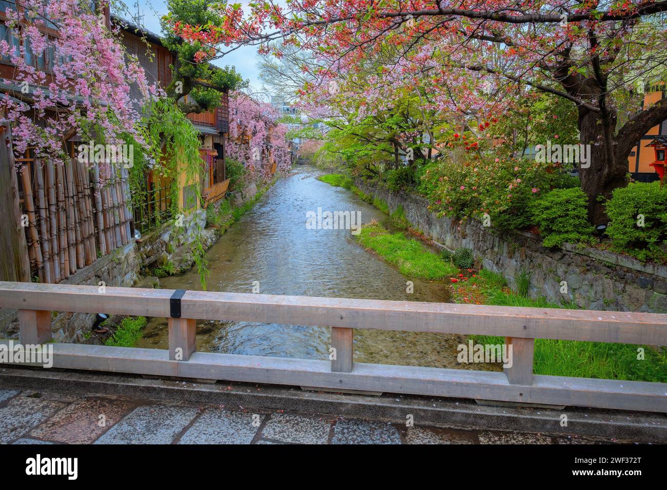 Kyoto, Japan - April 6 2023: Tatsumi bashi bridge is the iconic place ...