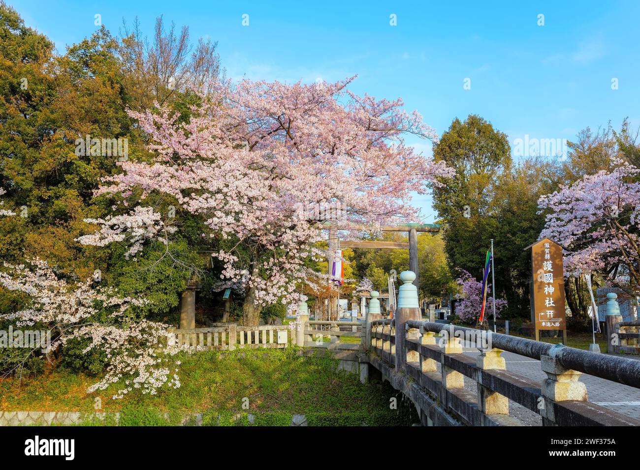 Shiga, Japan - April 3 2023: Shiga Prefecture Gokoku Shinto shrine ...
