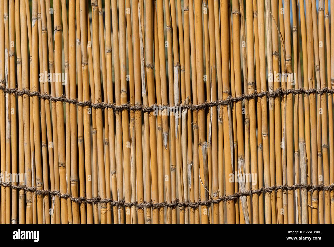 Stockade fence hi-res stock photography and images - Alamy