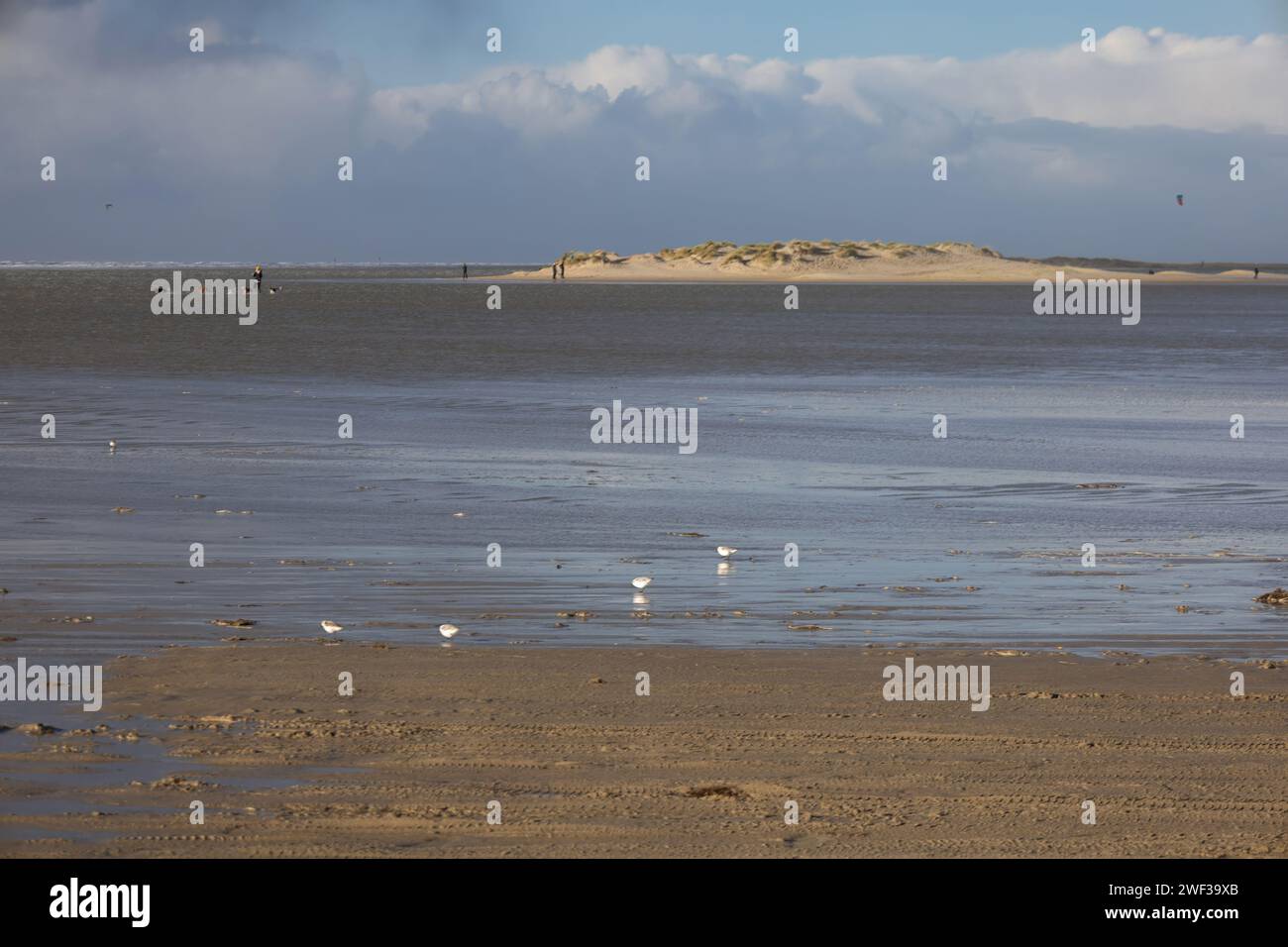 Wattenmeer strand hi-res stock photography and images - Alamy