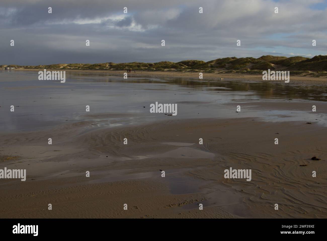 Wattenmeer strand hi-res stock photography and images - Alamy