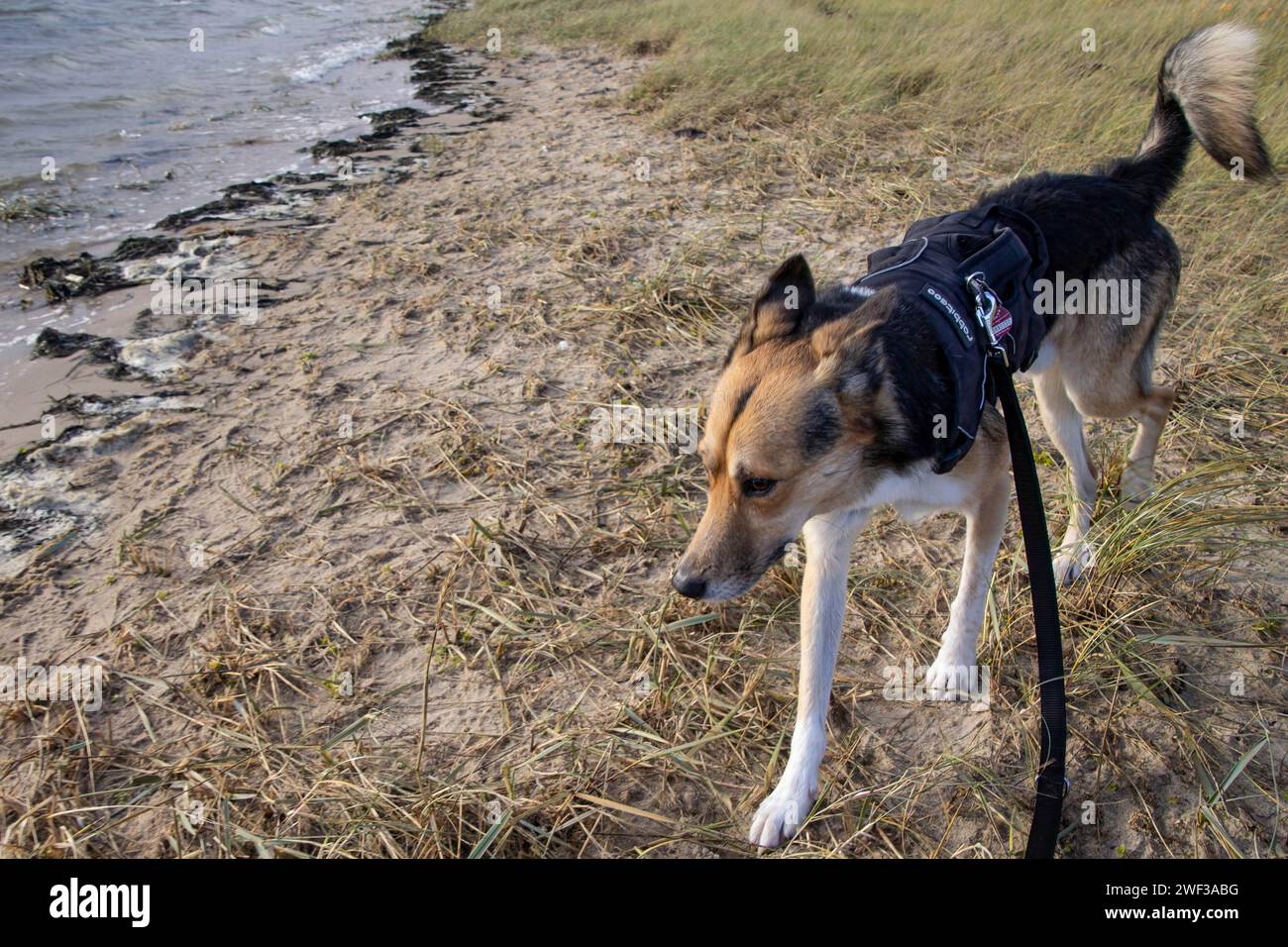 Is this Water Dangerous Stock Photo - Alamy