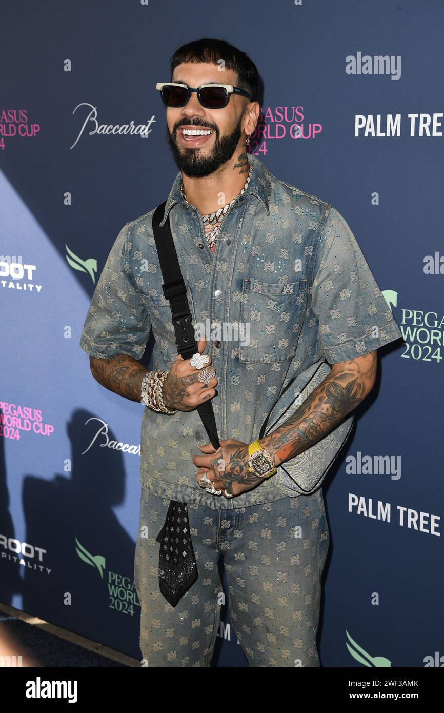 Hallandale Beach FL, USA. 27th Jan, 2024. Anuel AA attends the 2024 ...