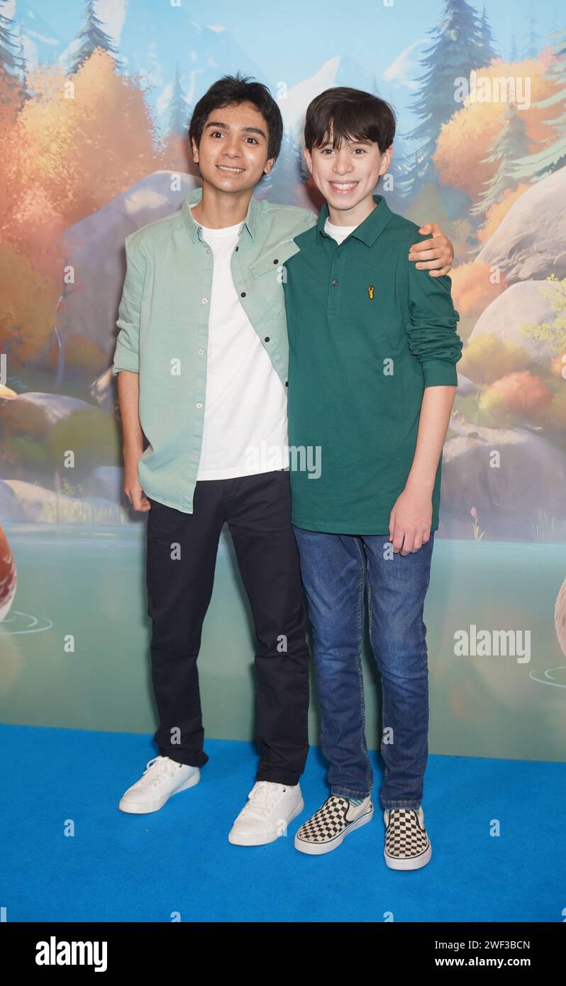 Alexander molony hi-res stock photography and images - Alamy