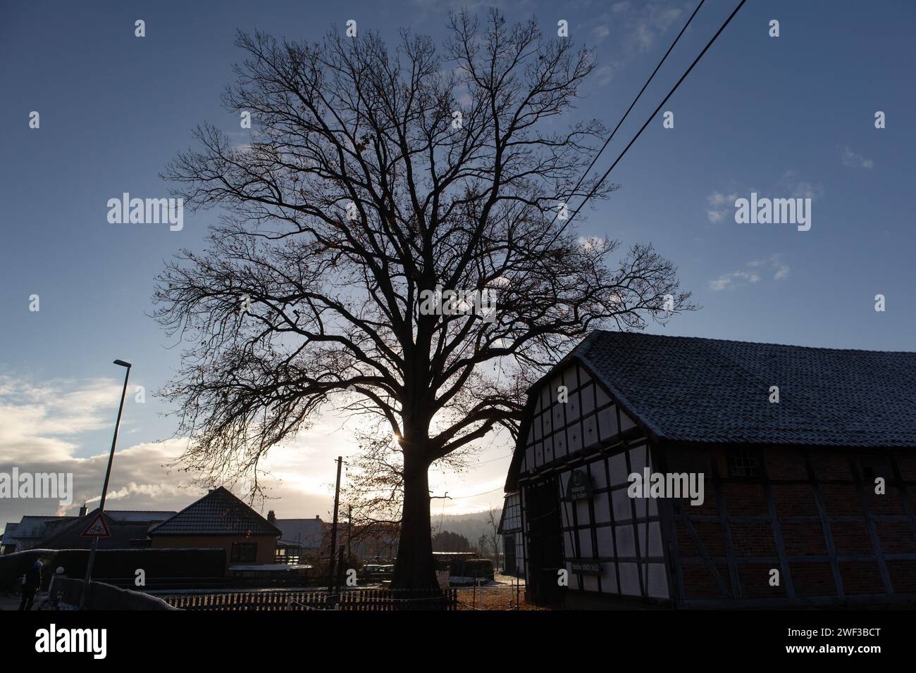 Timber framing hi-res stock photography and images - Alamy