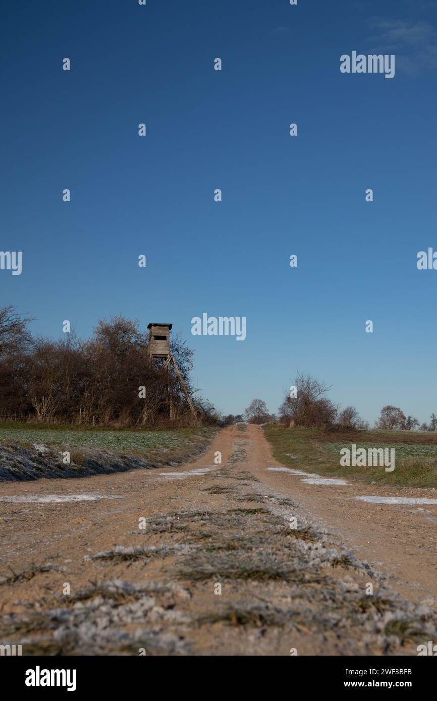 Track and feld hi-res stock photography and images - Alamy