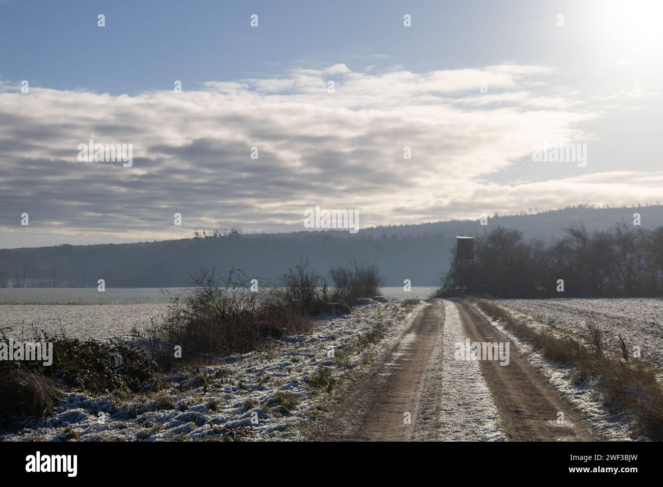 Track and feld hi-res stock photography and images - Alamy