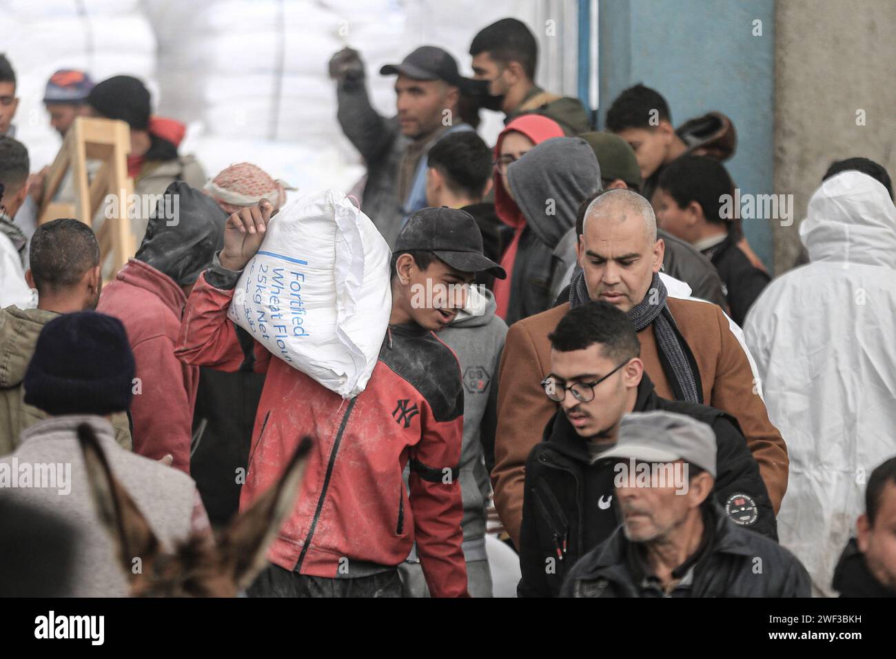 28 January 2024, Palestinian Territories, Rafah: Displaced Palestinians ...