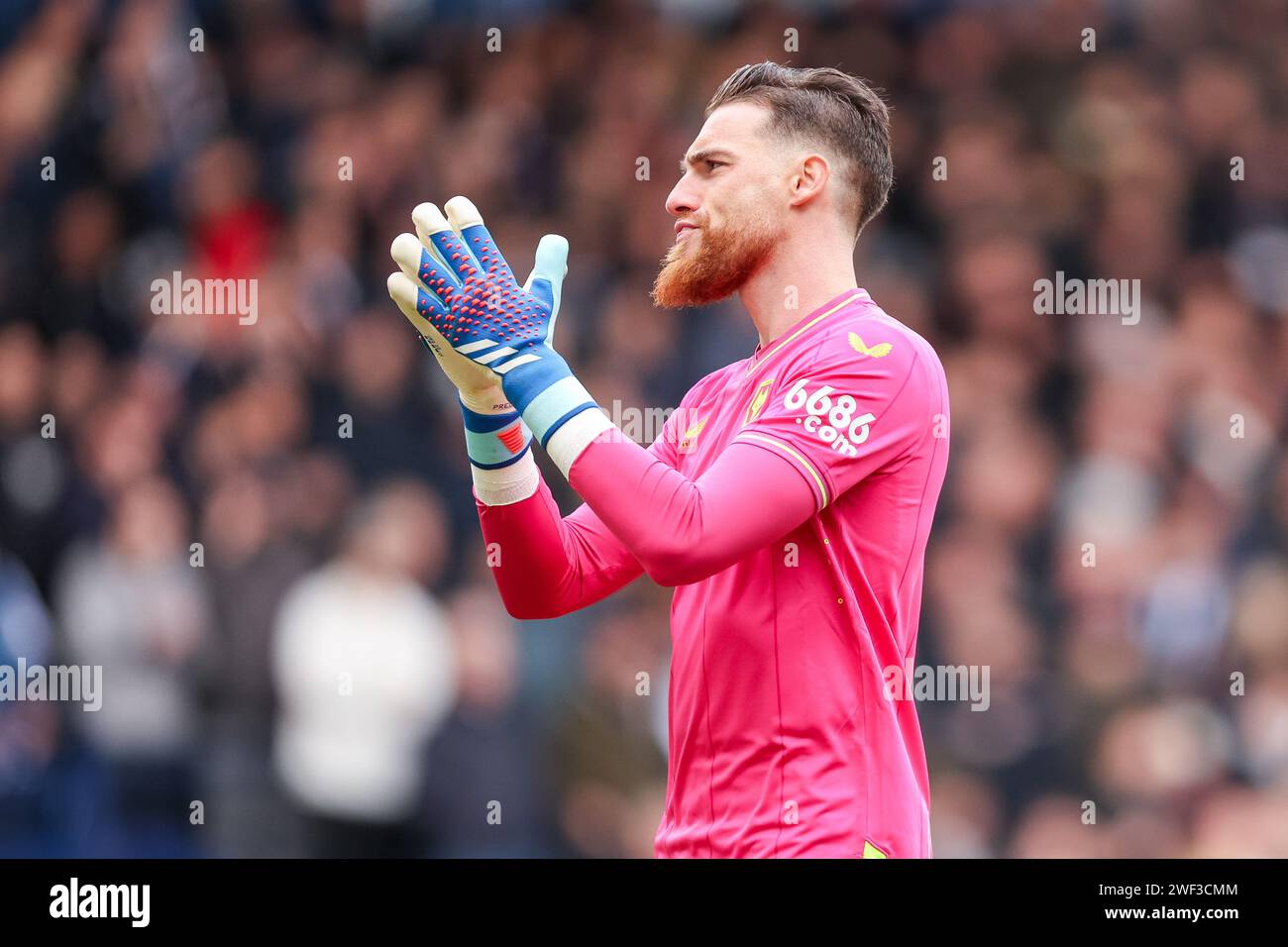 Wolves jose sa 2024 hi-res stock photography and images - Alamy