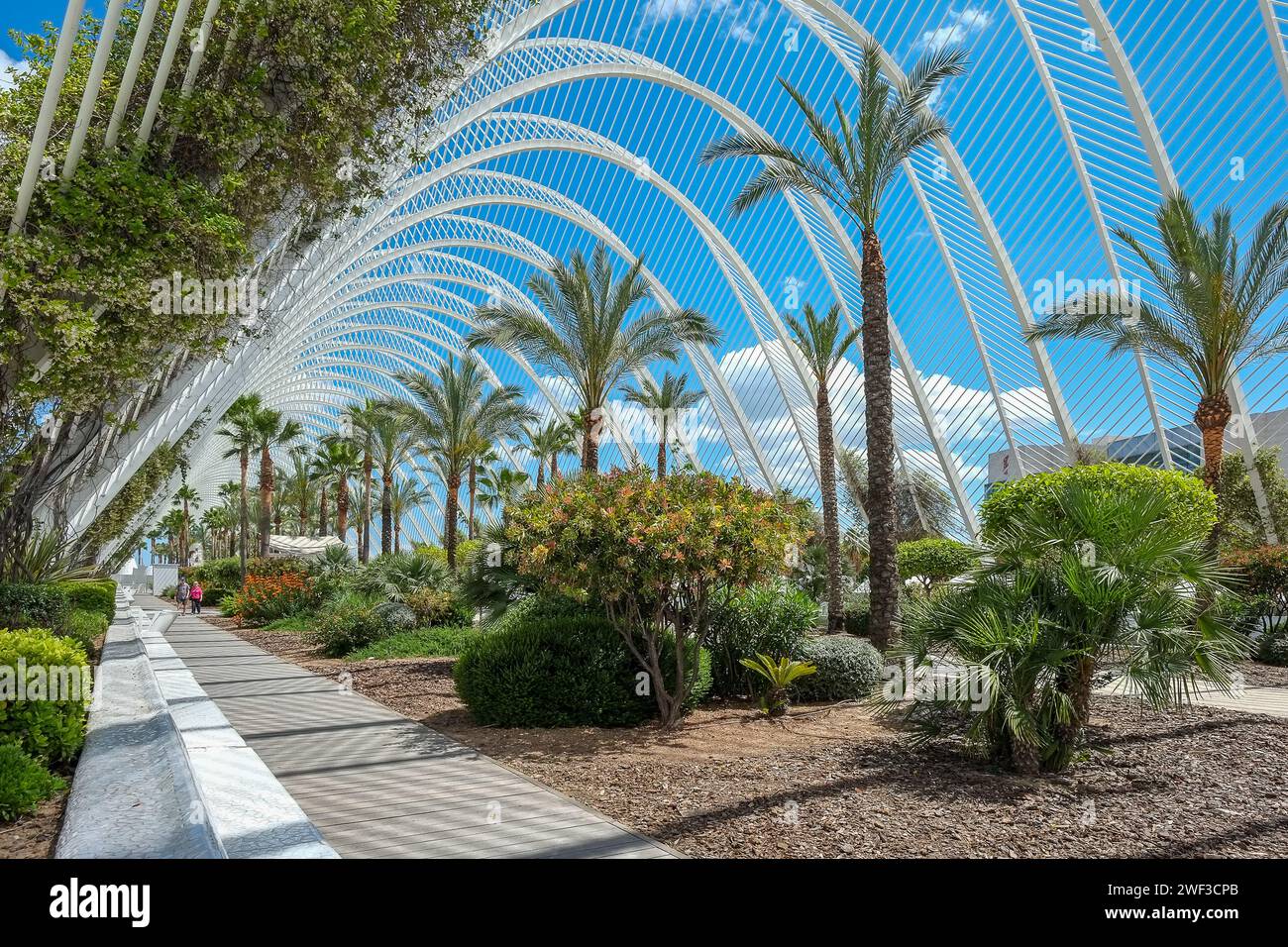 L'Umbracle in the City of Arts and Sciences in Valencia. L'Umbracle is ...