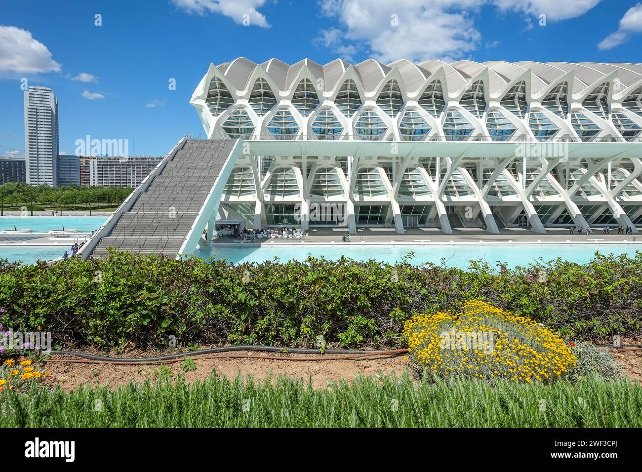 The Principe Felipe Science Museum in the City of Arts and Science in ...