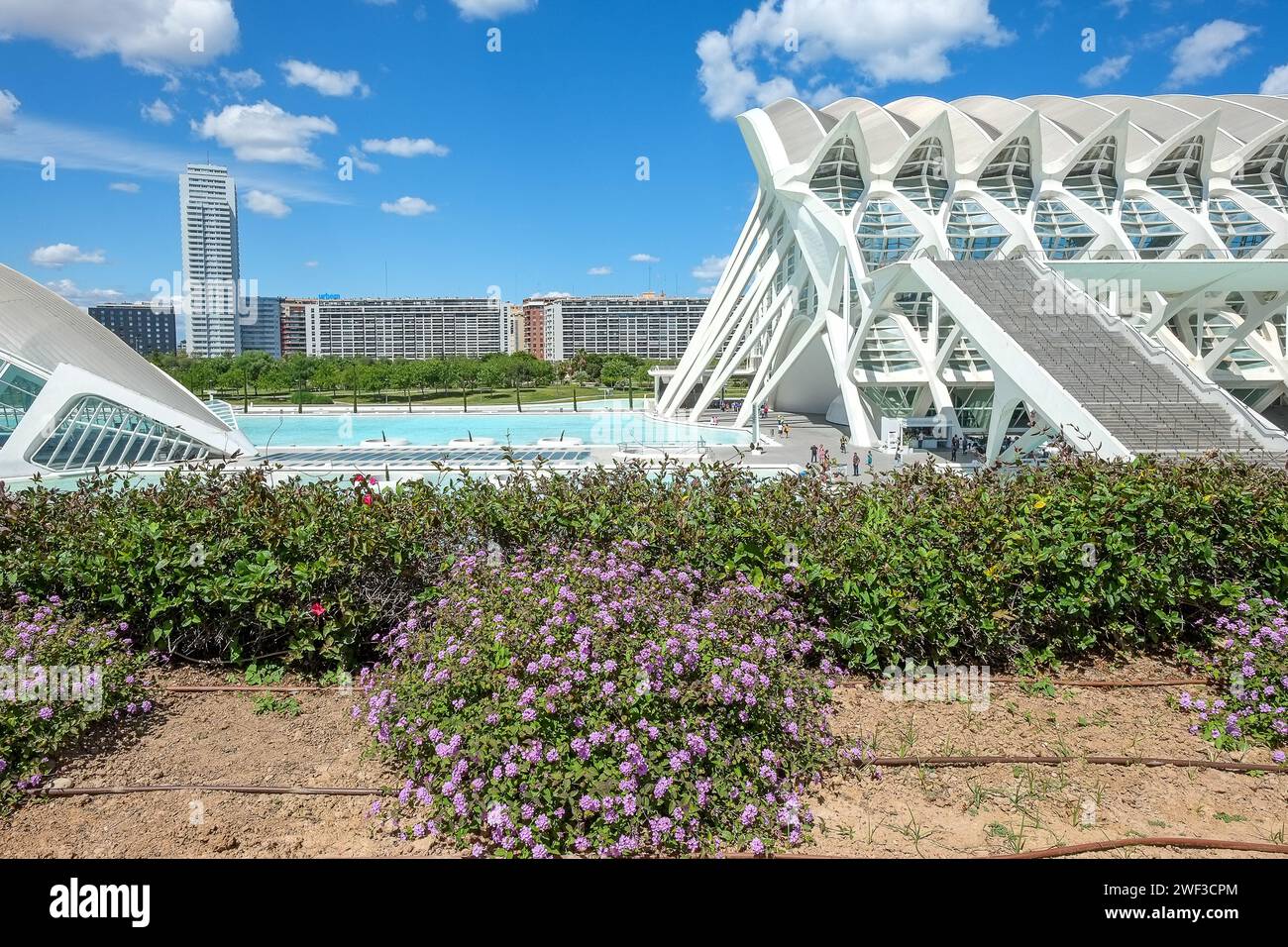 The Principe Felipe Science Museum in the City of Arts and Science in ...