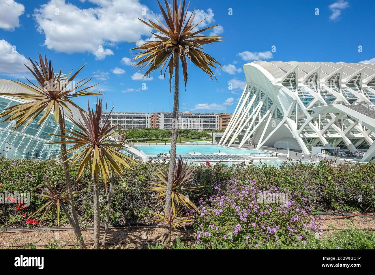 The Principe Felipe Science Museum in the City of Arts and Science in ...