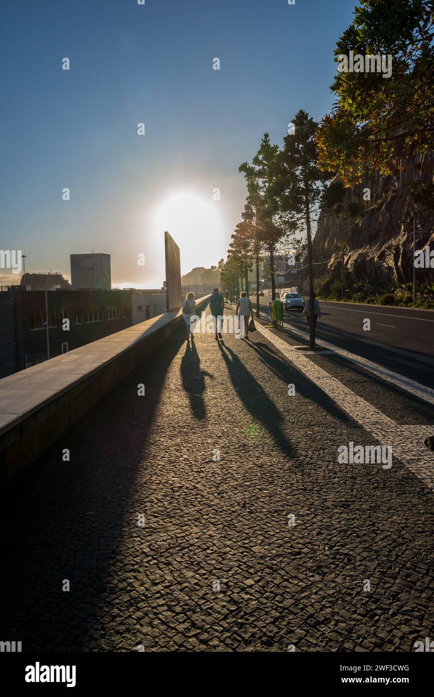 People walking into the sunset and casting their shadows onto the ...