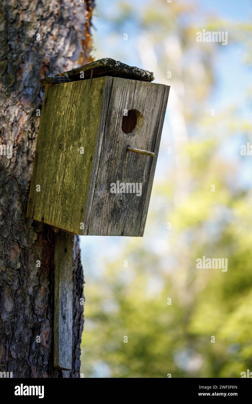 Old broken wooden nesting box set out for Spring Stock Photo - Alamy