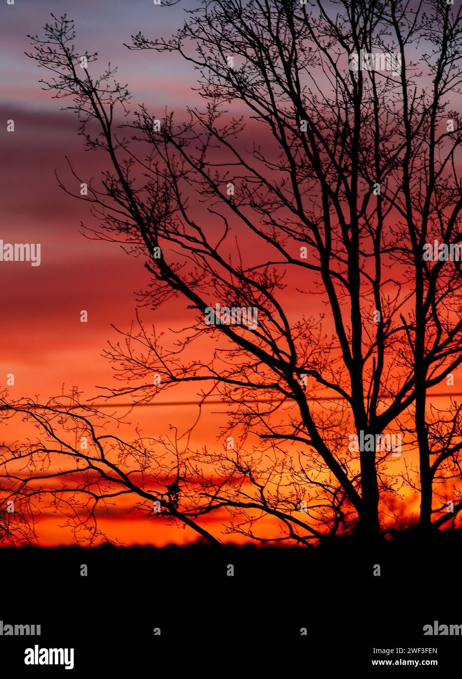 28th january 2024 hi-res stock photography and images - Alamy
