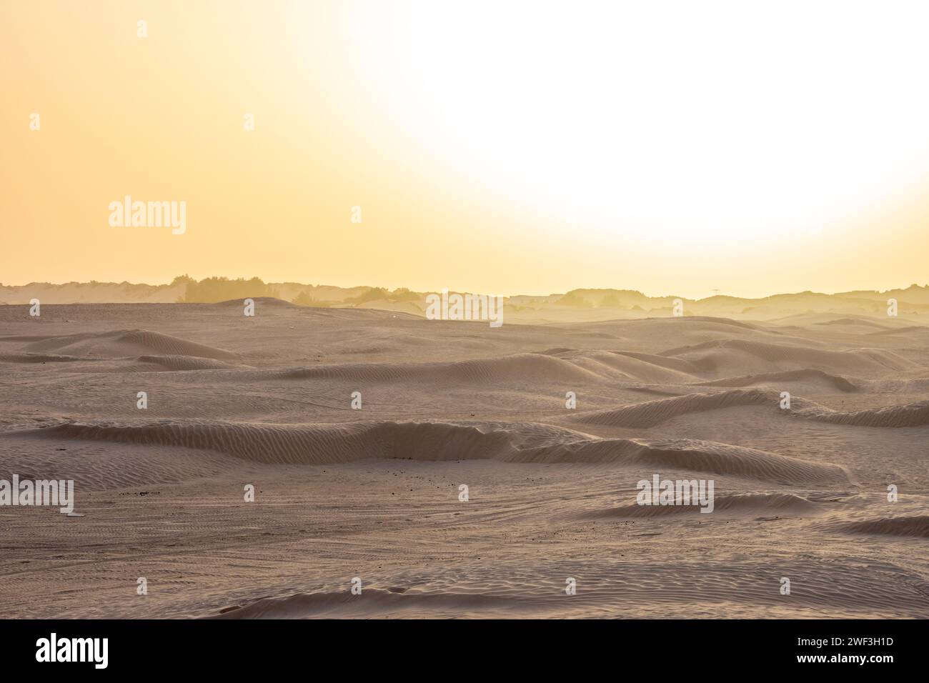 Sunset in the sahara desert douz hi-res stock photography and images ...