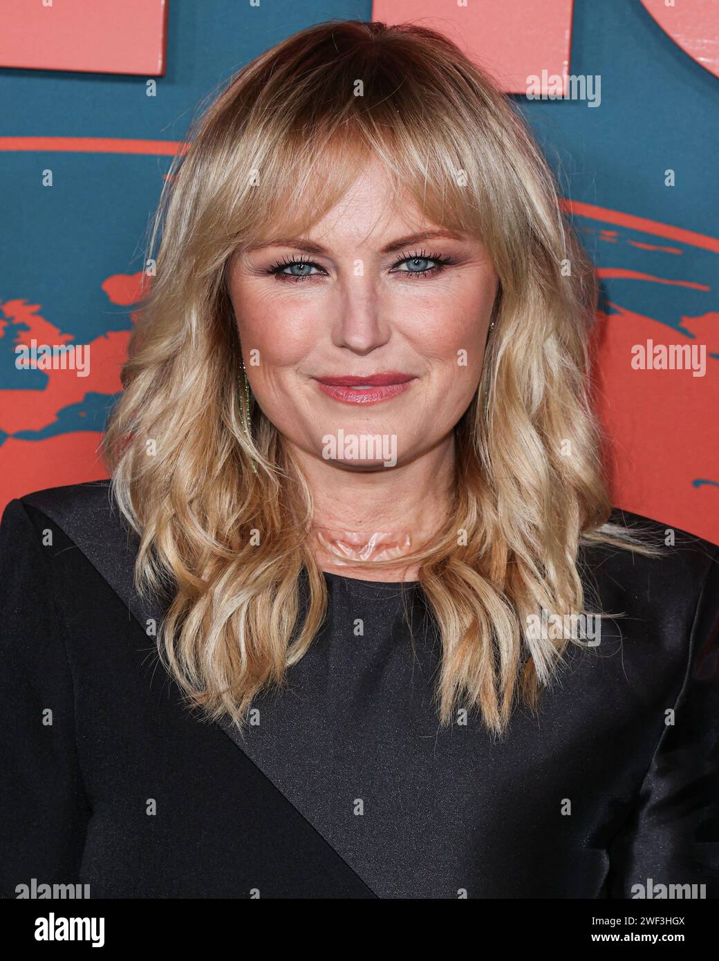HOLLYWOOD, LOS ANGELES, CALIFORNIA, USA - JANUARY 27: Malin Akerman ...