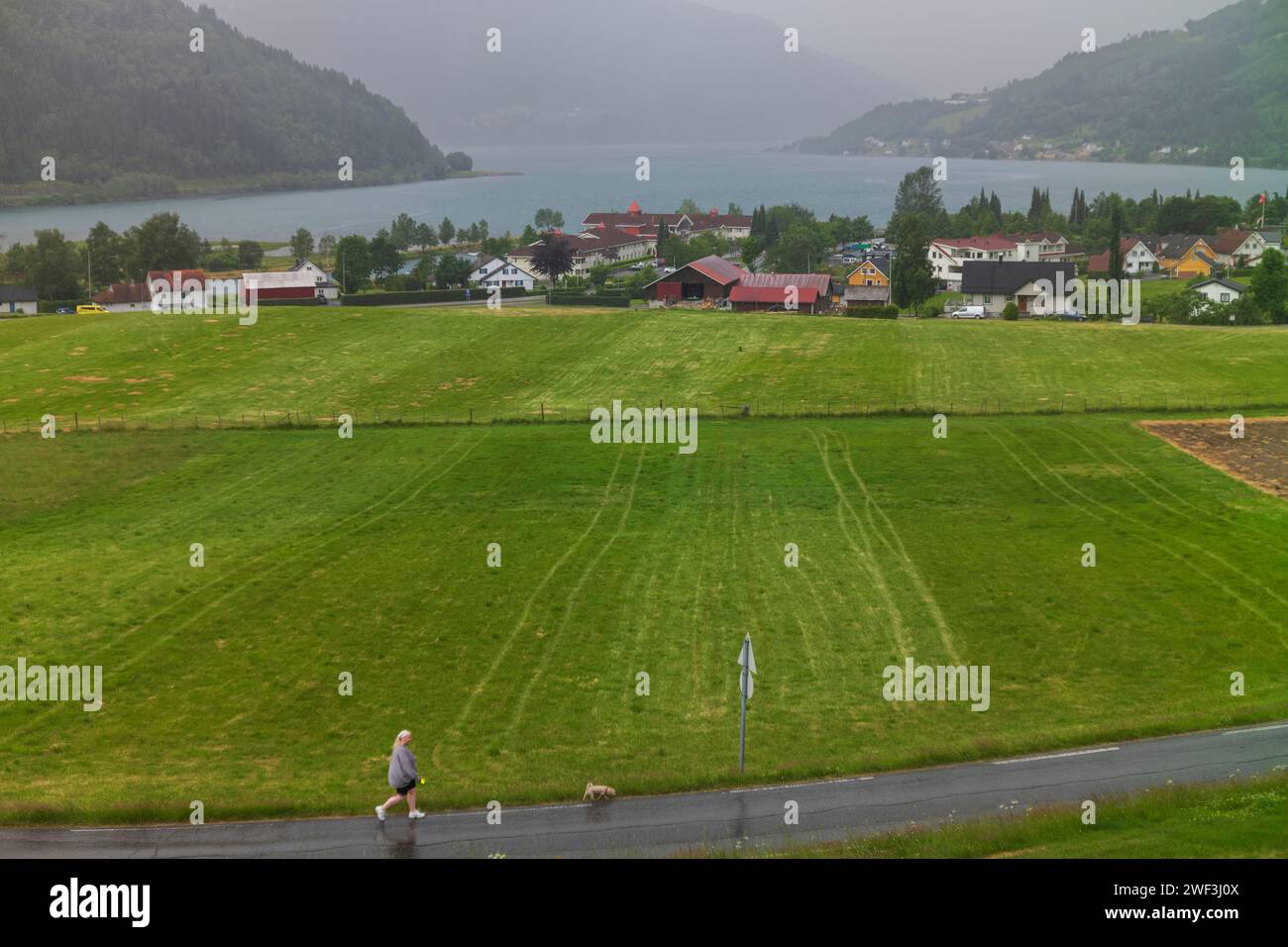 Loen, Norway, June 26, 2023: A woman walks her dog during a rainy day ...