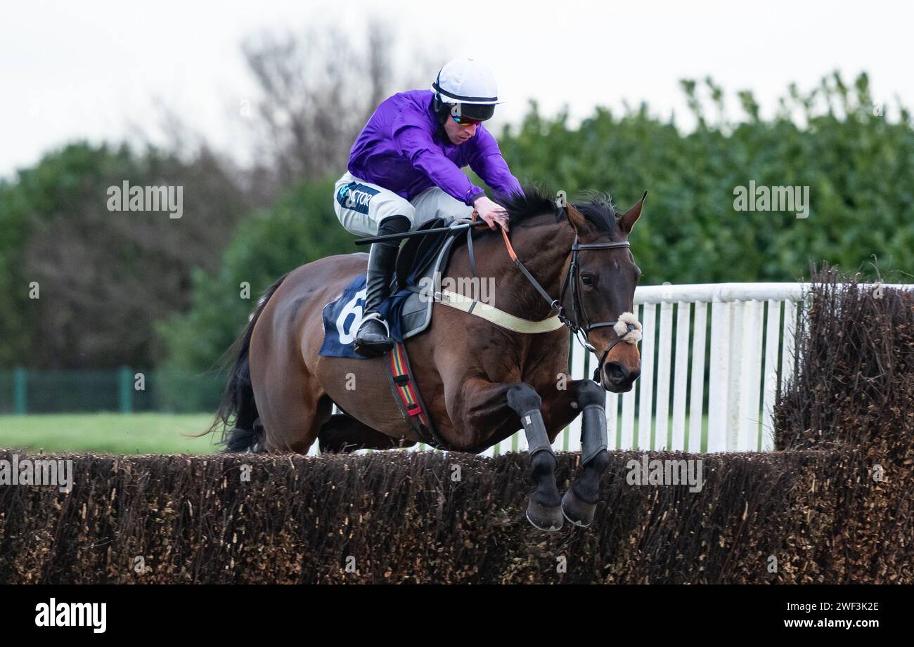 Red rum horse hi-res stock photography and images - Alamy
