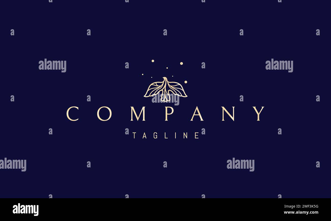 Golden twitter logo hi-res stock photography and images - Alamy
